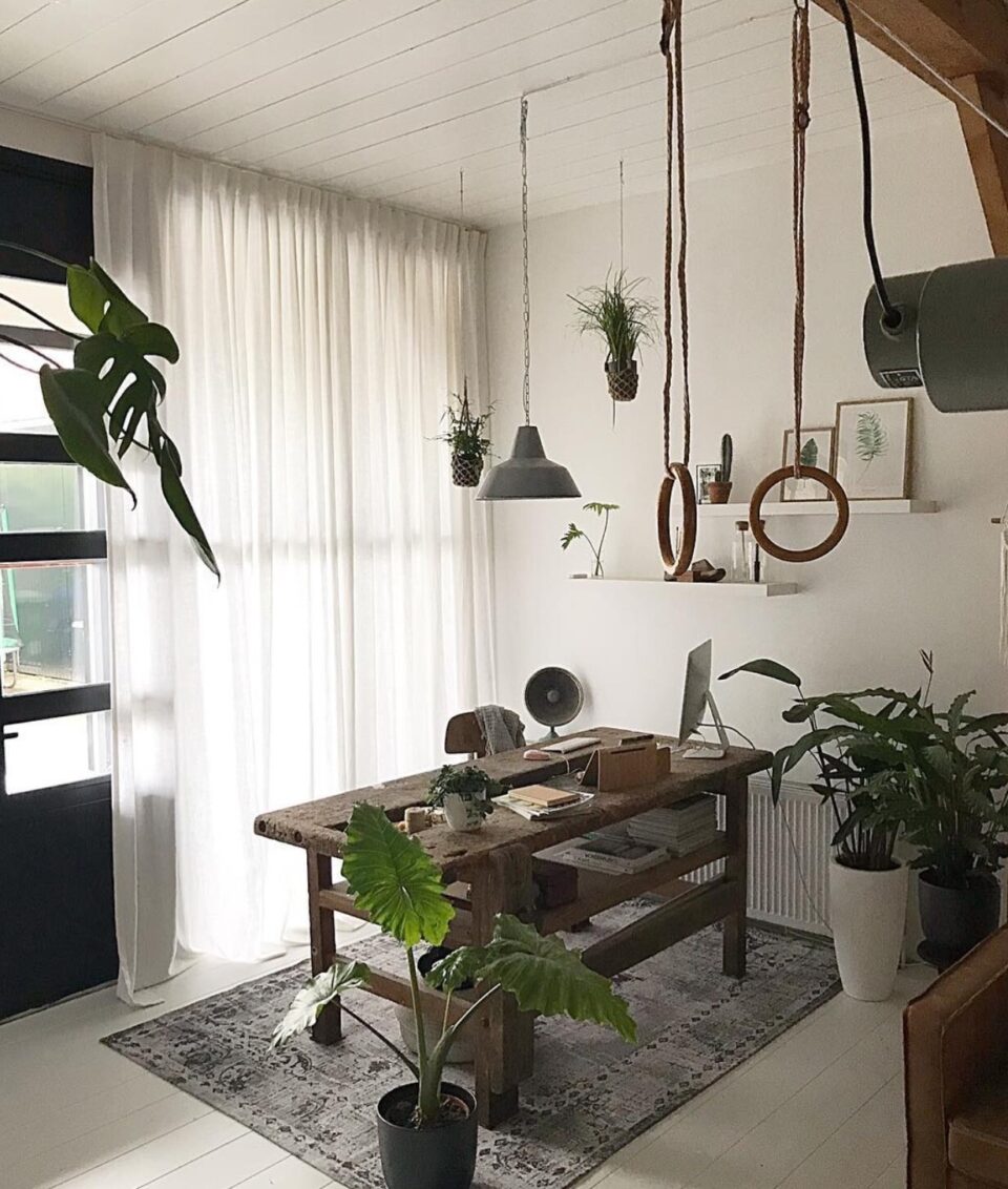 Inside Blinds | Transparency promo